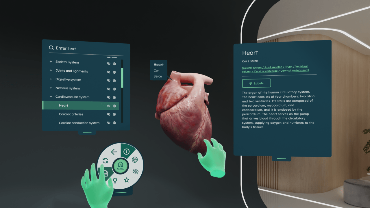 VR human anatomical simulator