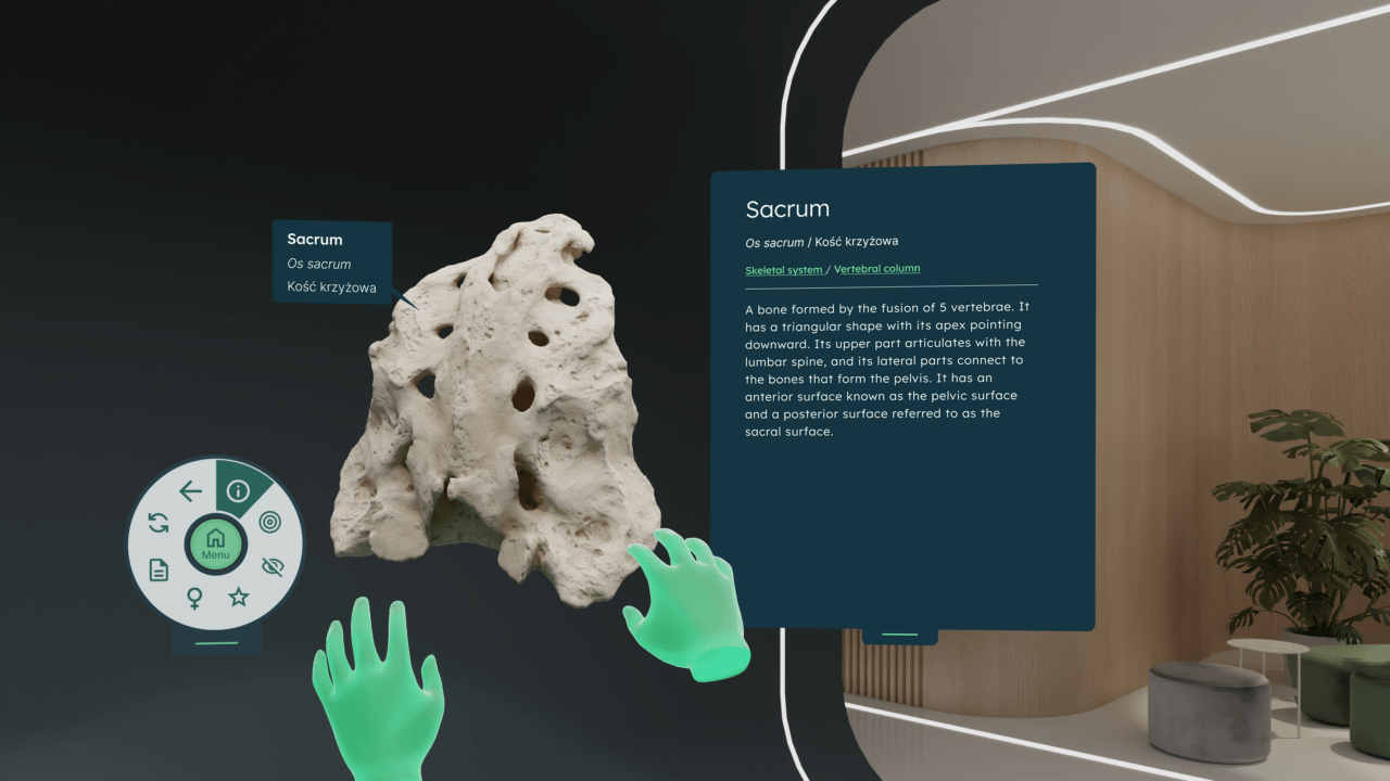 VR human anatomical simulator