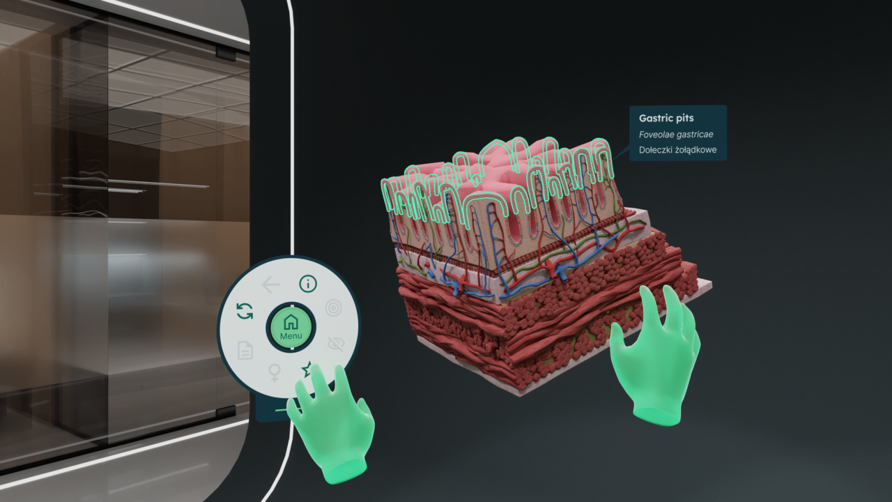 VR human anatomical simulator
